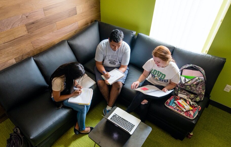 University of North Texas at Dallas - Economic Mobility Systems